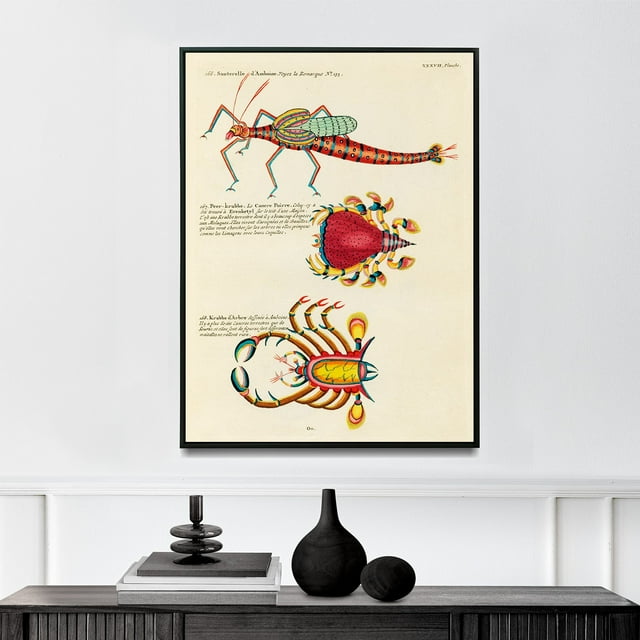 Colourful and Surreal Illustrations of Fishes and Crabs Found in ...