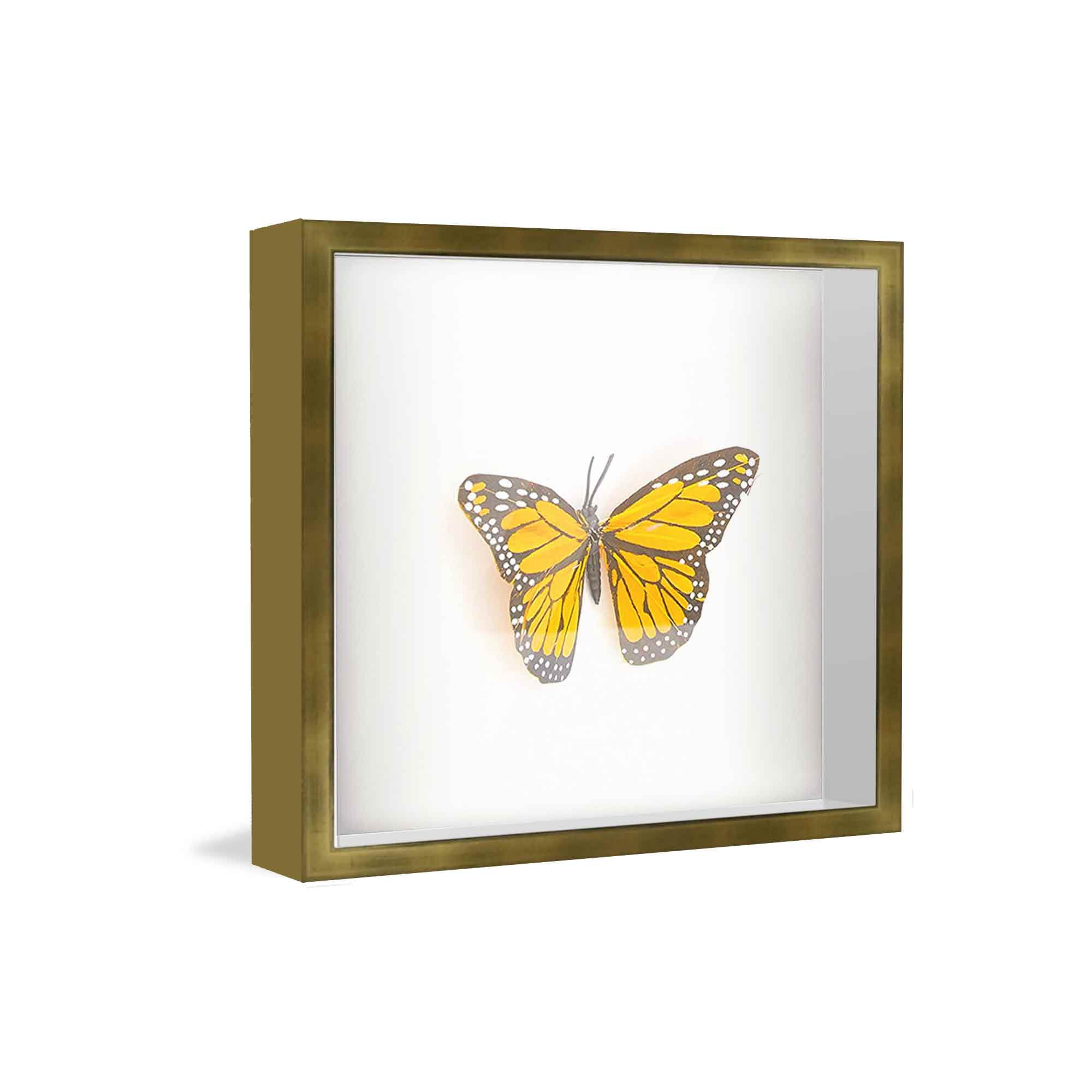 31x31 Shadow Box Frame Gold | 1.375 inches Deep Real Wood Contemporary ...
