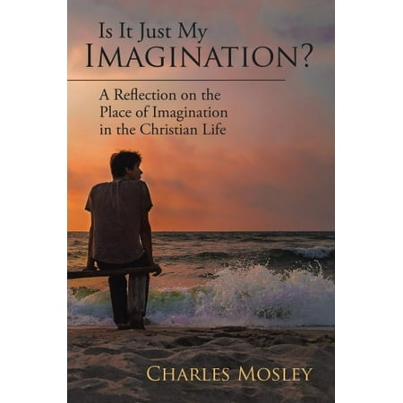 Is It Just My Imagination?: A Reflection on the Place of Imagination in ...