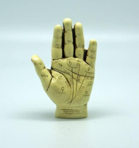 The Palmistry Hand Kit with Complete Instructional Booklet - Walmart.com