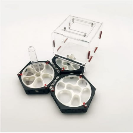 ant Farm Ant Farm DIY 3D Space Station Ant Nest Big Space Connecting ...