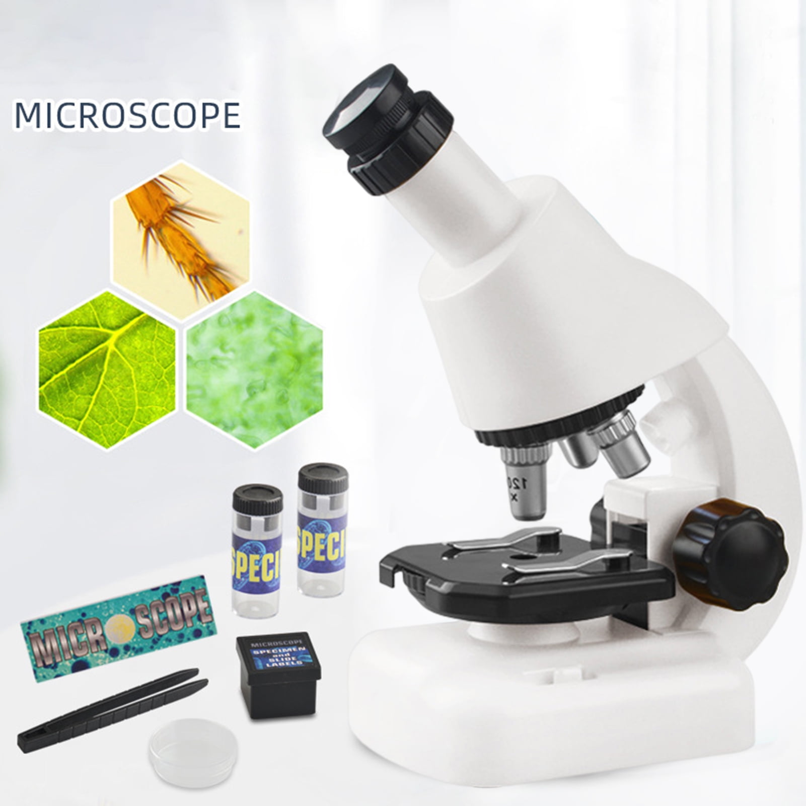 Microscope Labeling For Kids