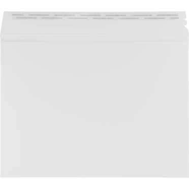 Survivor Tyvek Expansion Mailer 12 x 16 x 2 White 18lb 100/Carton R4290 ...