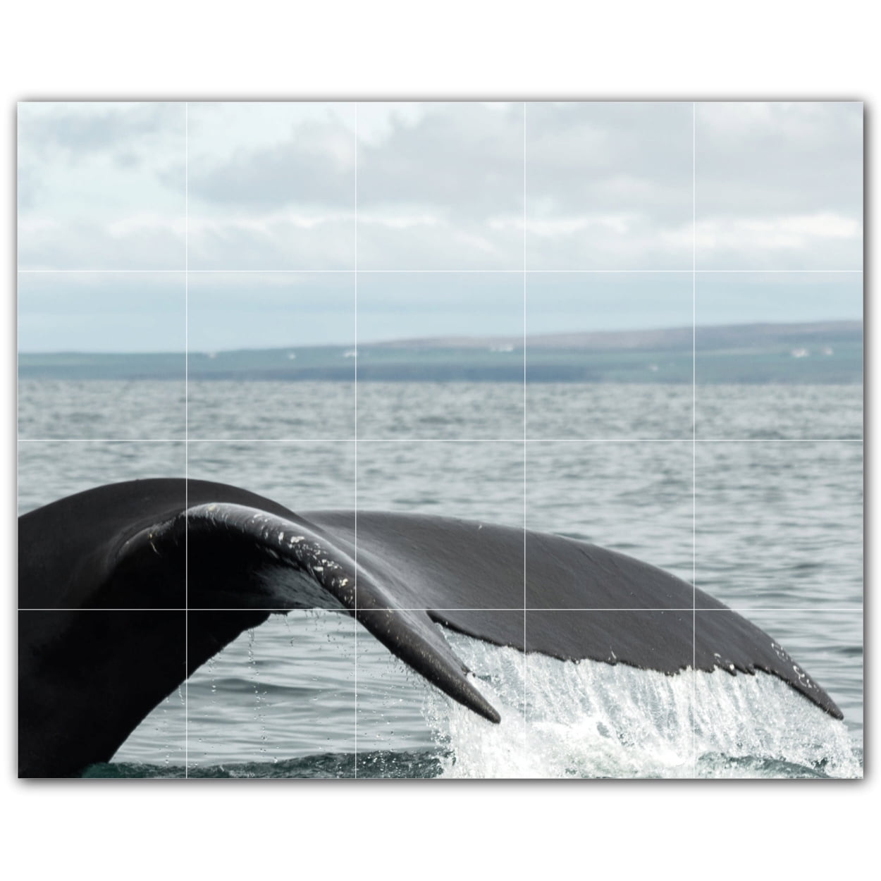Picture-Tiles.com: Whale Ceramic Tile Wall Mural WAL501191-54XL. 60"W x ...