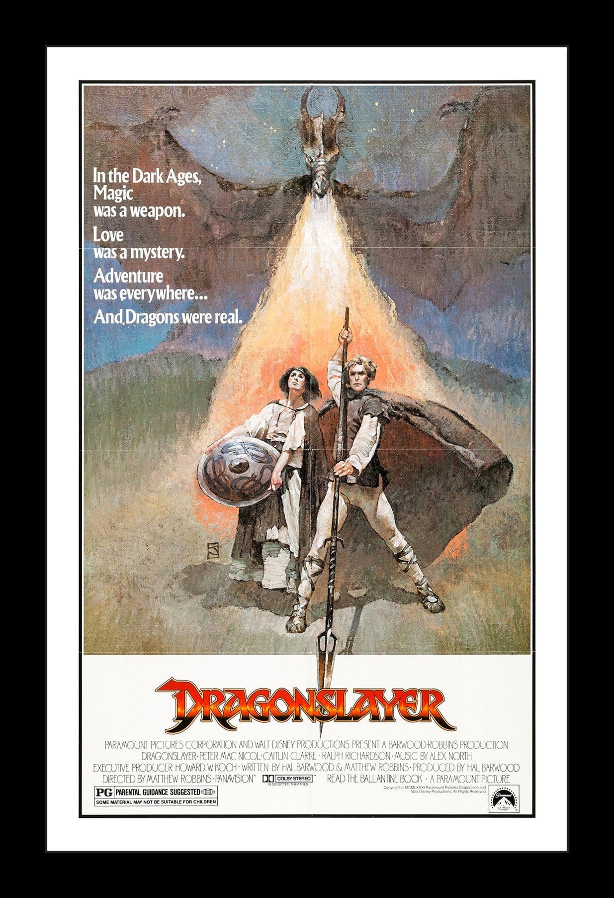 DRAGONSLAYER - 11x17 Framed Movie Poster - Walmart.com