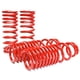 Skunk2 90-93 Acura Integra Lowering Springs (2.50in - 2.25in.) (Set of ...