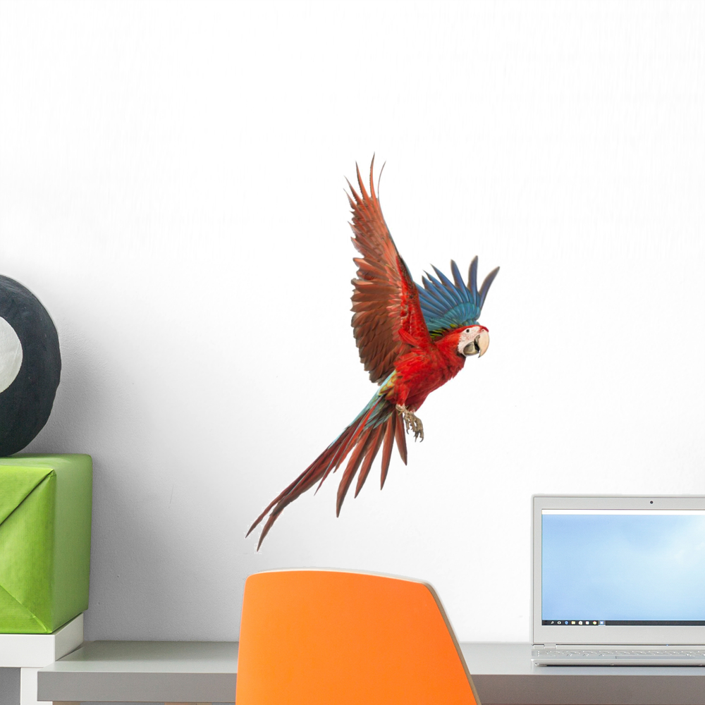 Green-winged Macaw Wall Decal by Wallmonkeys Peel and Stick Graphic (18 ...