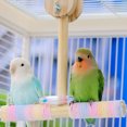 Durability Wooden Bird Swing Stand With Rope Perches Interactively Bird ...