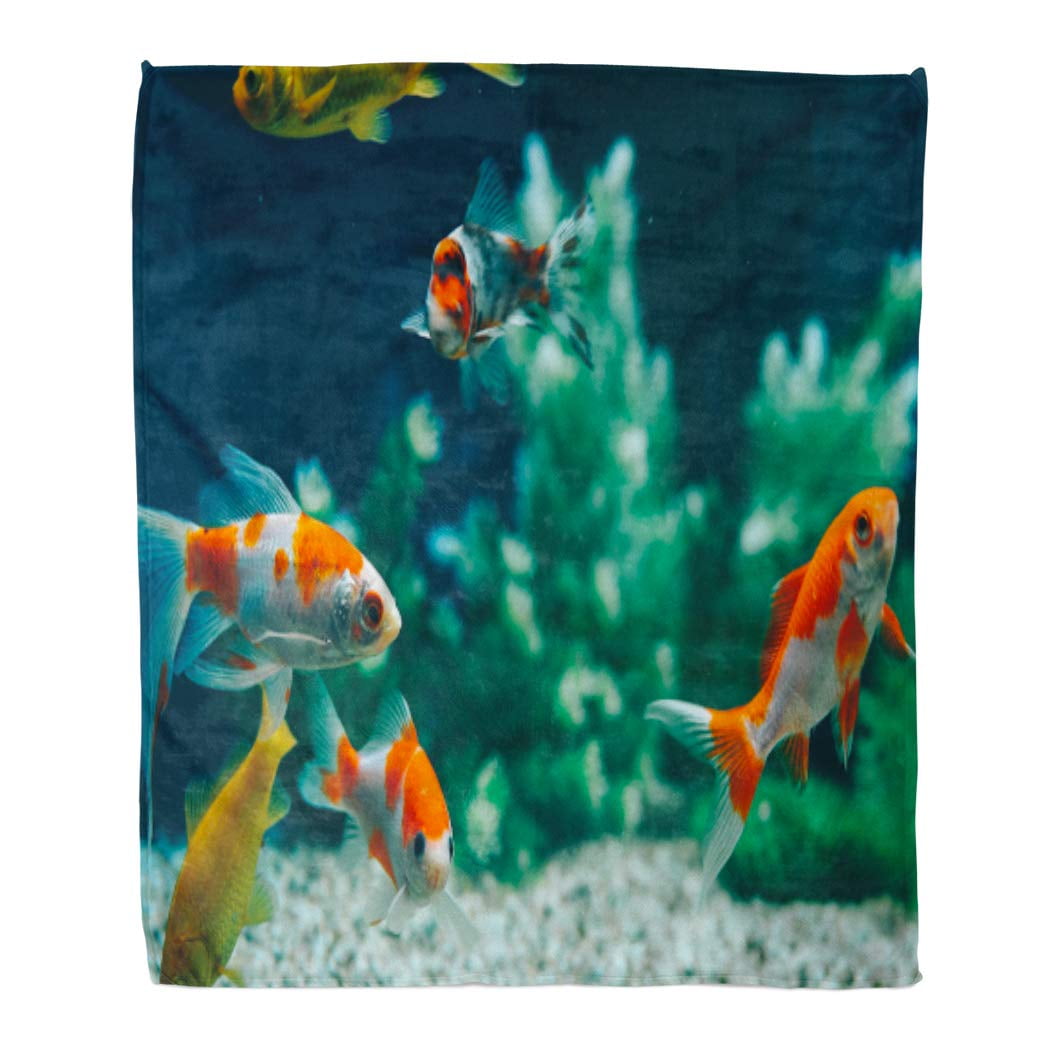 ASHLEIGH Flannel Throw Blanket Blue Yellow and Red Goldfish Swimming in ...