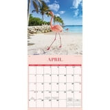 Carousel Calendars, Tropical Islands Special Value 2025 Wall Calendar ...