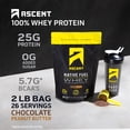 Ascent Native Fuel Whey Protein Powder, Chocolate Peanut Butter Flavor ...