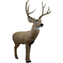 Rinehart Jimmy Big Tine Lifelike Deer Archery Target for Outdoor ...