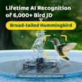 Birdfy Smart Bird Bath with Camera, Dual-Lens 2K, AI Bird Recognition ...