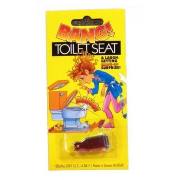 Prank Pack, Hide A Poo Prank Gift Box, Wrap Your Real Present in a ...