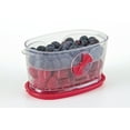 Prepworks Fresh Produce Container, Plastic Berry Keeper, Clear and Red ...