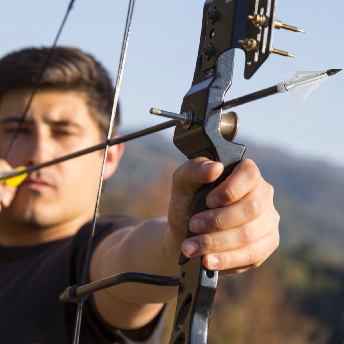 Blade Tips Bow And Arrow