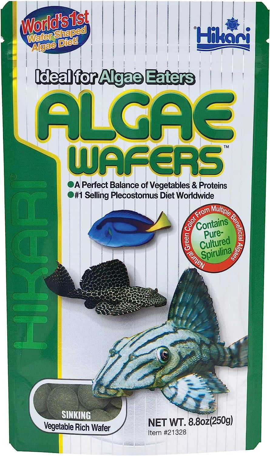 Hikari USA Inc AHK21328 Tropical Algae Wafer 8.8-Ounce Hikari 1 ...