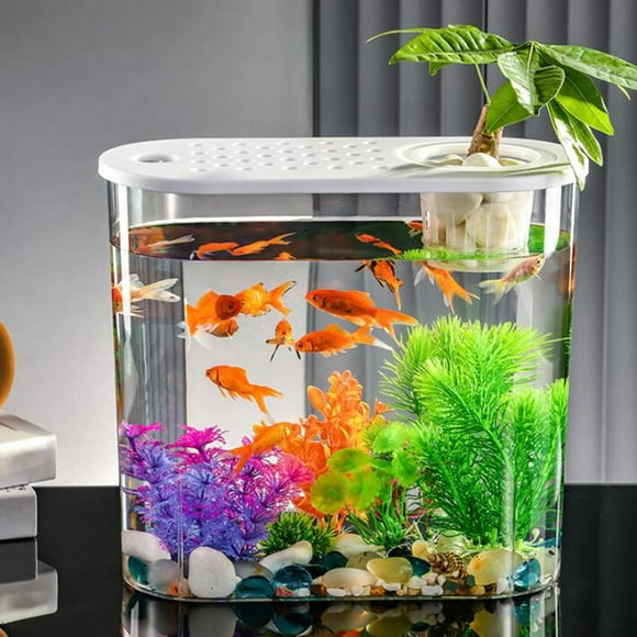 Goldfish Plant