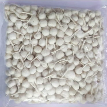 Shrichand BhojpatraPack of 10658inch with anar kalam astgandh ...