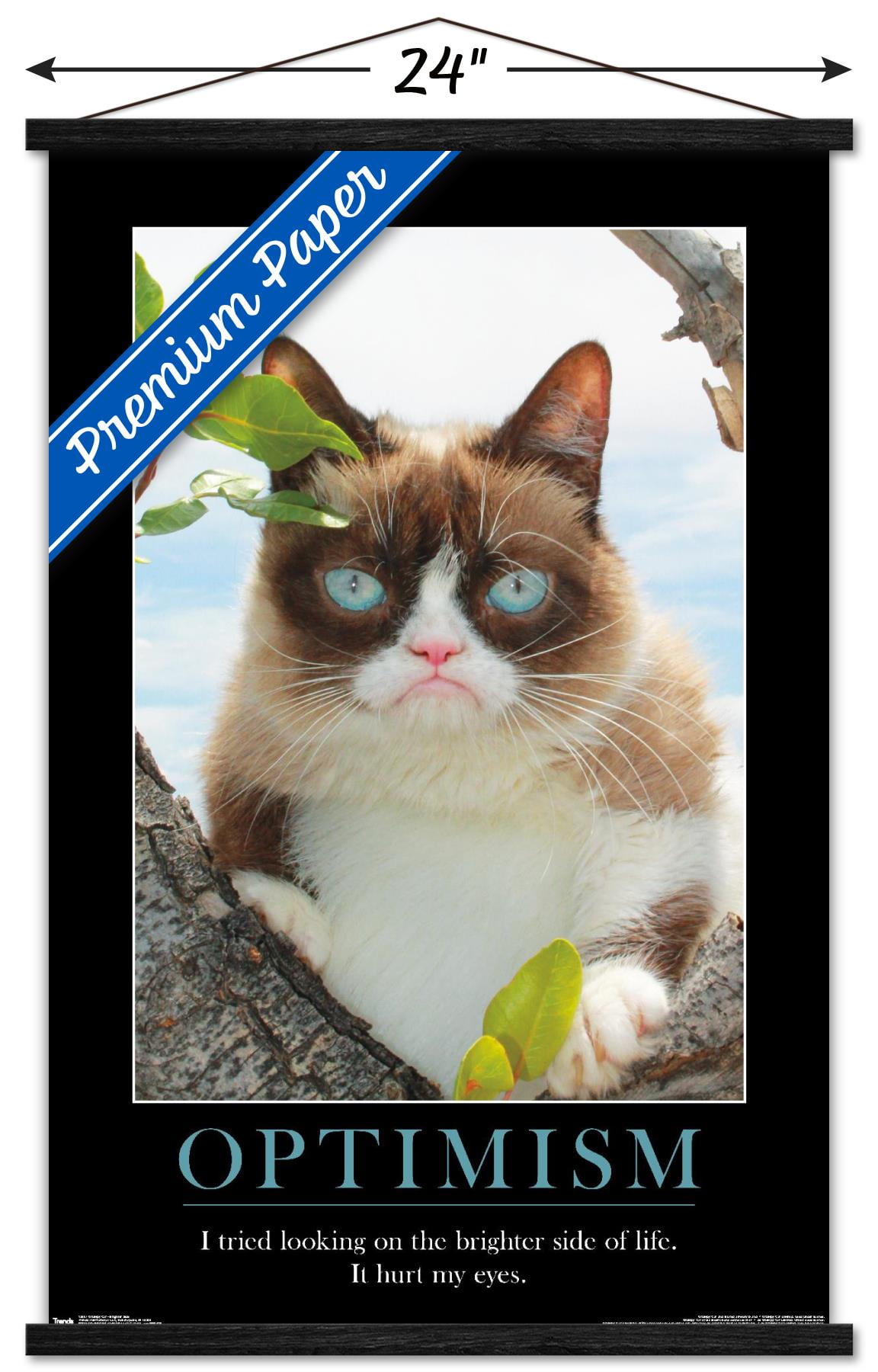 Hang In There Grumpy Cat