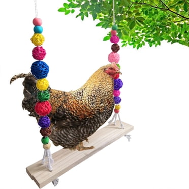 BLUE Chicken Coop Flock Block Bird Seed Hanging Bag Veggie Treat Holder ...