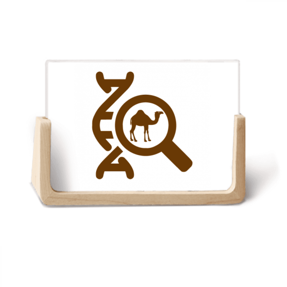 Zoo Gene Lupe Pantalla de escritorio fotográfica de madera | Bodega ...