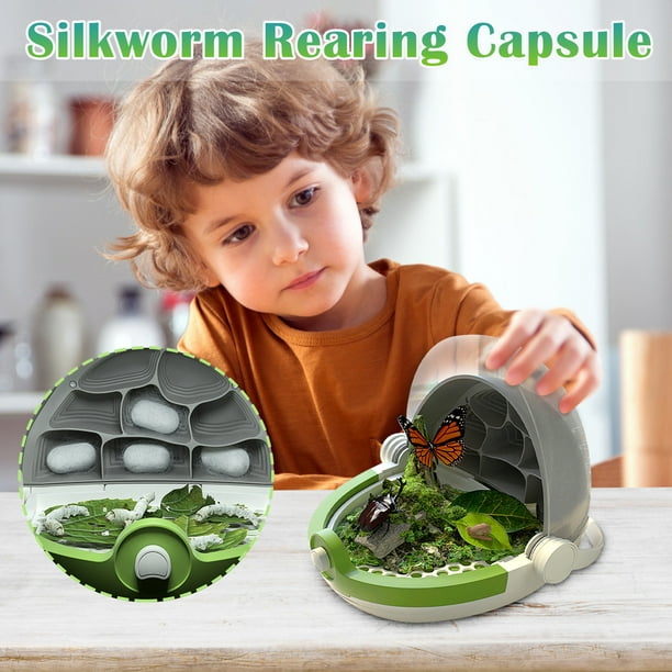 Stem Science Experiment Toy Animal Insect Observation Bucket ...