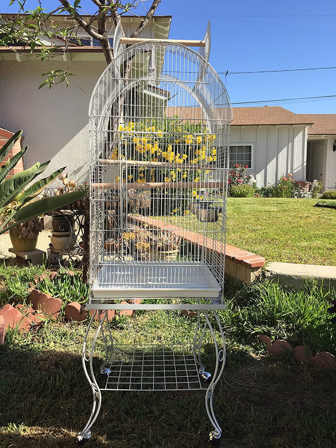 65-Inch LARGE Open Dome Play-Top Bird Parrot Perch Stand Cage with ...