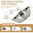 Elevated Cat Bowl Set with Mat, 2 Stainless Steel Bowls Anti-Splash ...