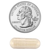 Spring Valley Fenugreek General Wellness Dietary Supplement Vegetarian ...