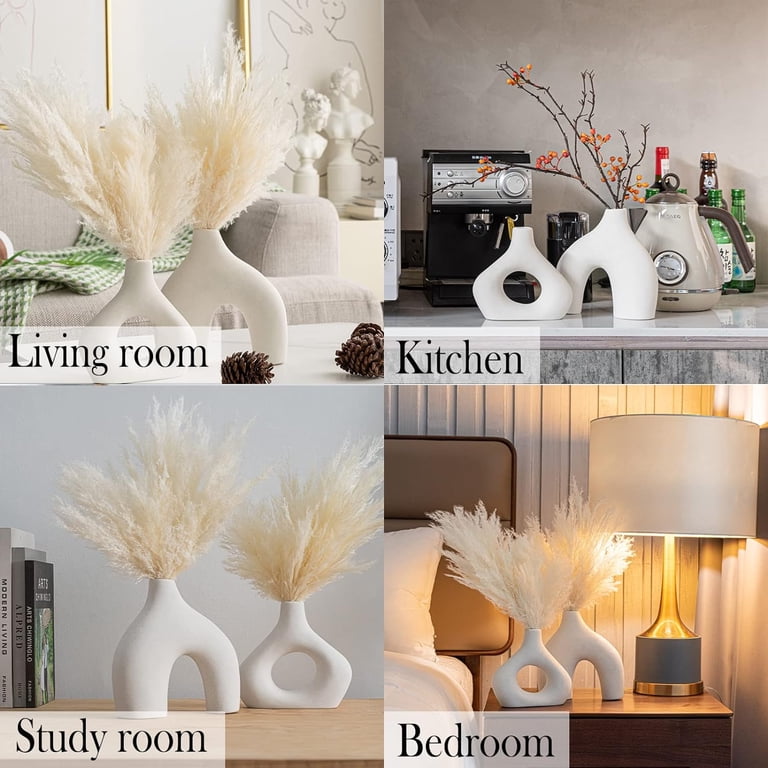 Decorative Vases For Living Room