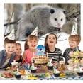 Opossum Birthday Party Supplies Decorations Plates Cake Topper Backdrop ...