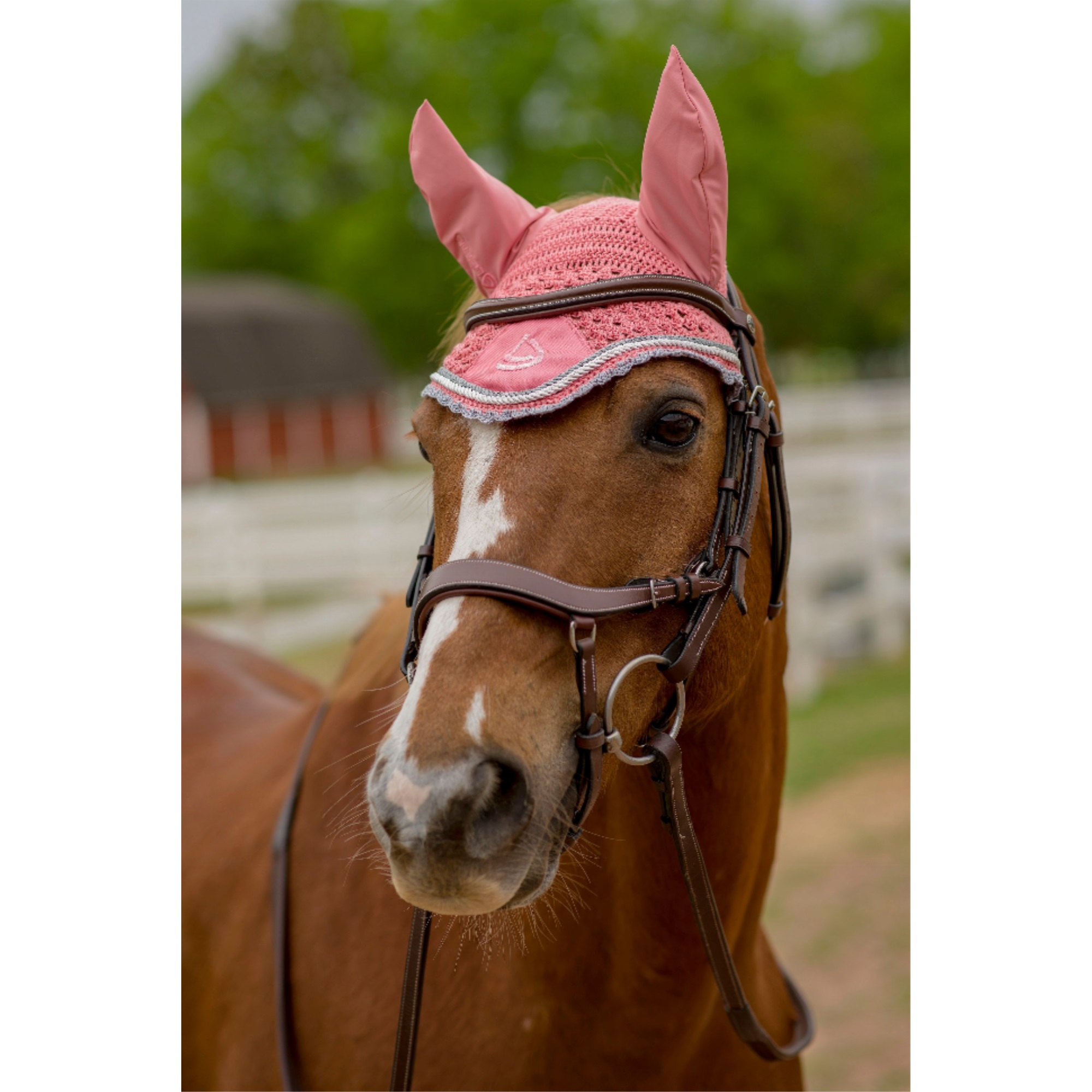 Lettia Shadow Ear Net - Walmart.com