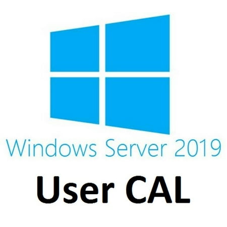 WINDOWS SERVER 2019 USER CALS | Walmart Canada