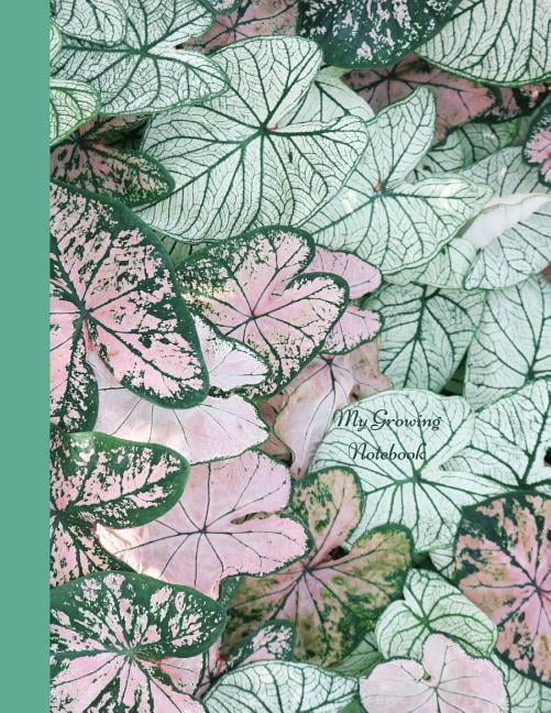 My Growing Notebook: Creative Composition Writing Journal - Walmart.com