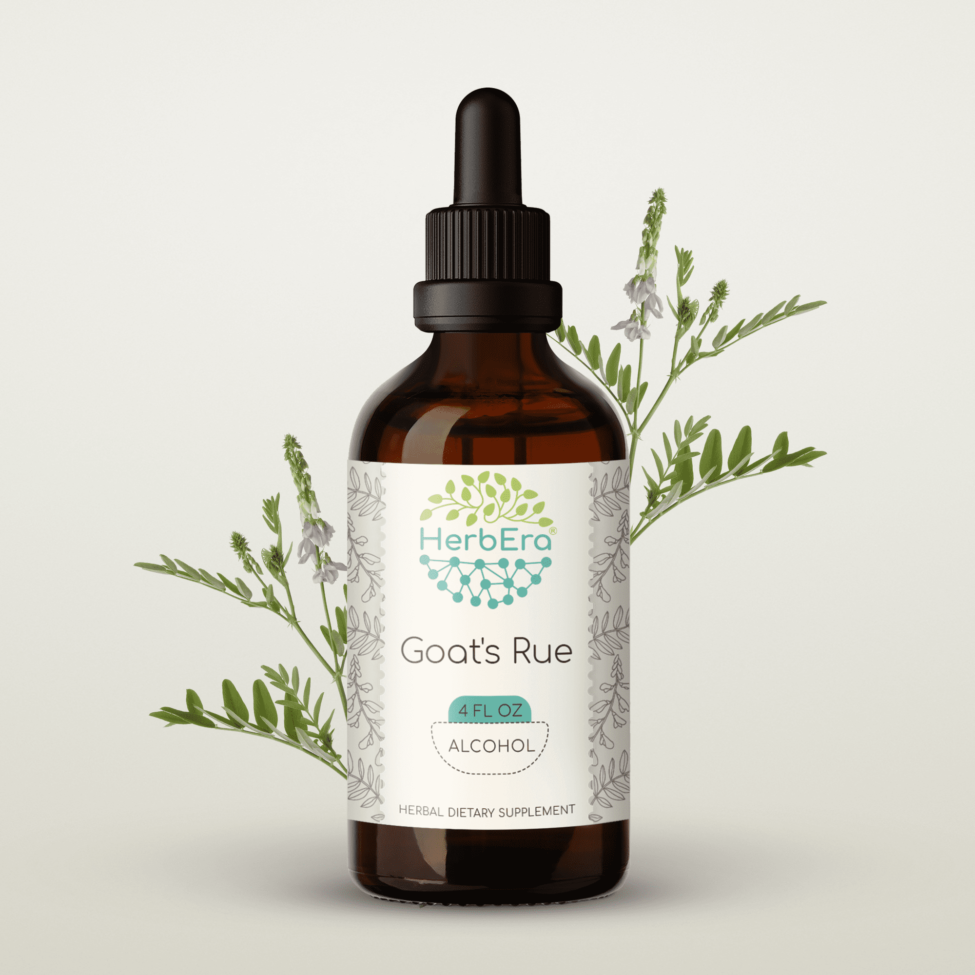 Goat's Rue Alcohol Herbal Extract Tincture, Super-Concentrated Organic ...