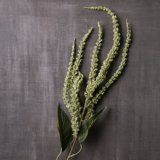 12 Pack: Green Amaranthus Stem by Ashland® - Walmart.com