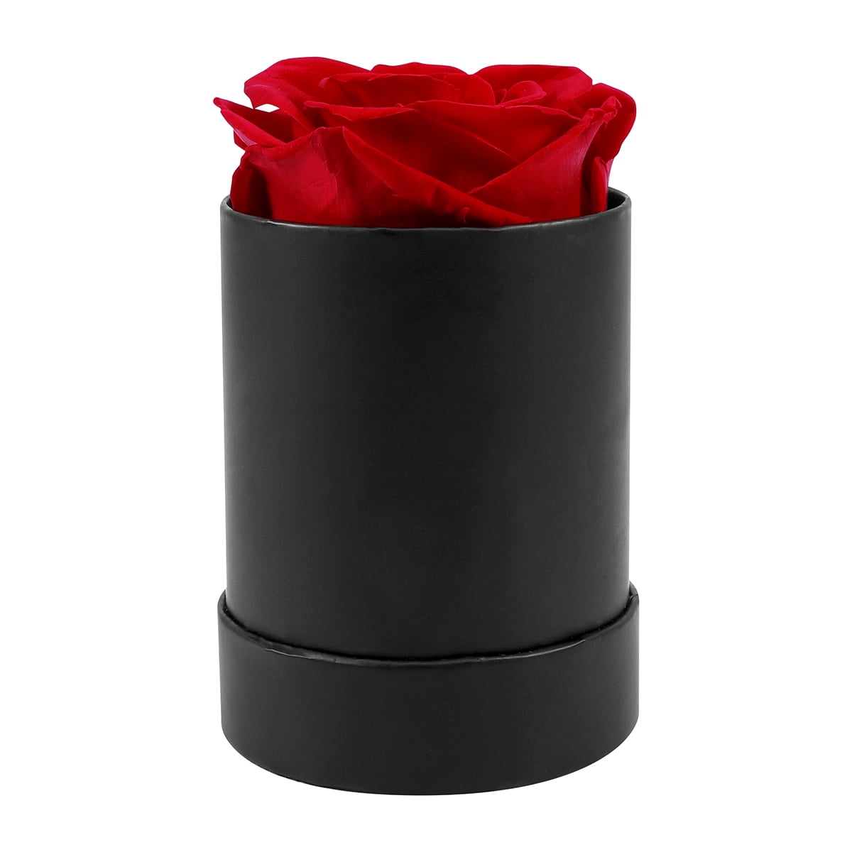 velvet Box Eternal Box Roses bucket bouquet Gift Real Preserved Flowers Annivers - munimoro.gob.pe
