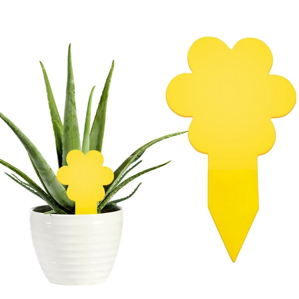 Trampa para Moscas Y Mosquitos Tablero Adhesivo Atrapamoscas Hongos ...