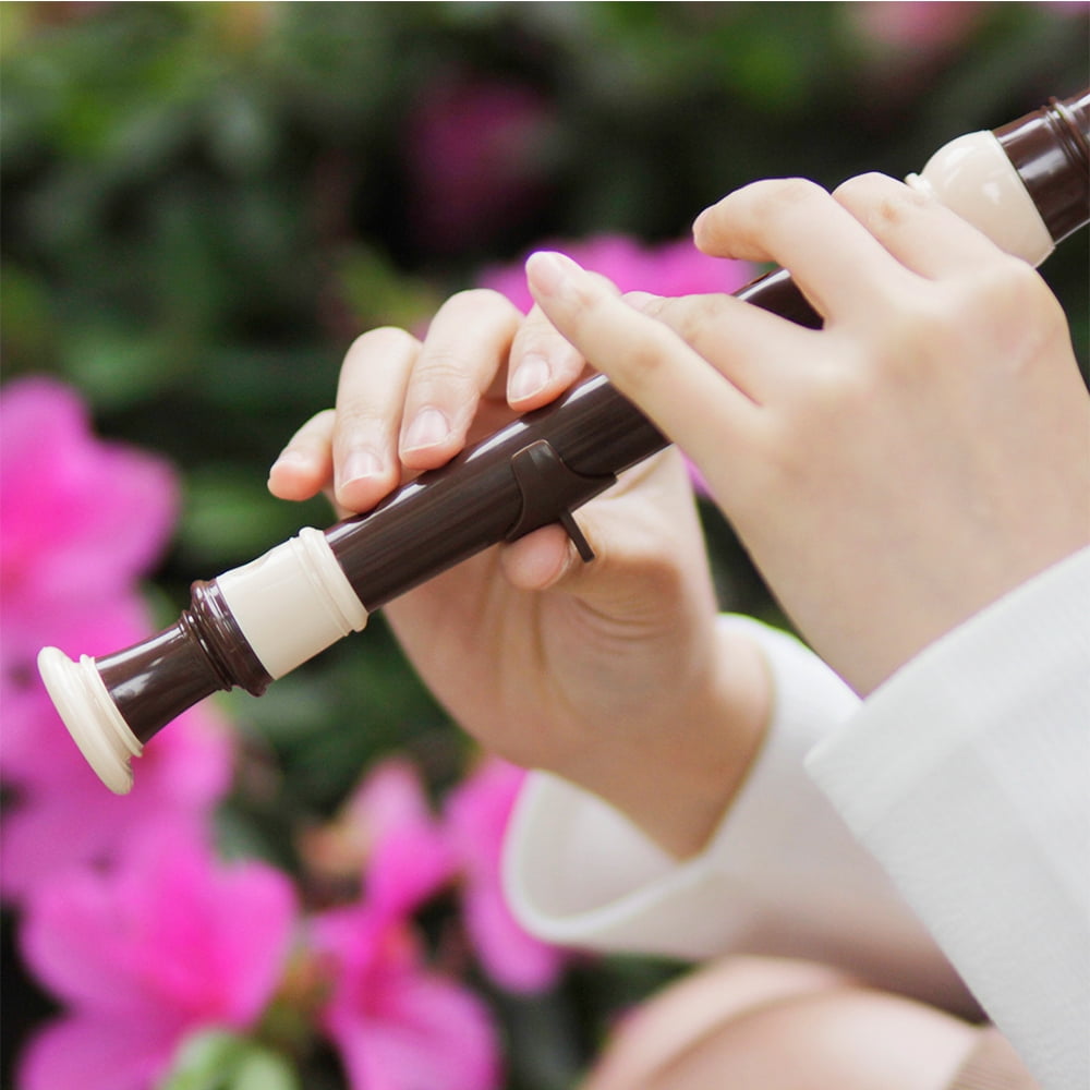 Buy IRIN ABS Descant Recorder 8 Hole Baroque Style Recorders Instrument ...