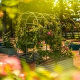 Vego Garden Modular Arched Trellis System Single Section 1.5' Long ...