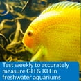 API GH & KH TEST KIT Freshwater Aquarium Water Test Kit, 2.5 oz ...
