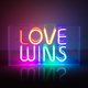 BrightSide Love Wins 12" x 7" Multicolor Acrylic LED Neon Box ...