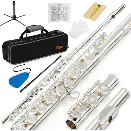C Flutes Closed Hole 16 Keys Flute for Beginner Kids Student Flute ...