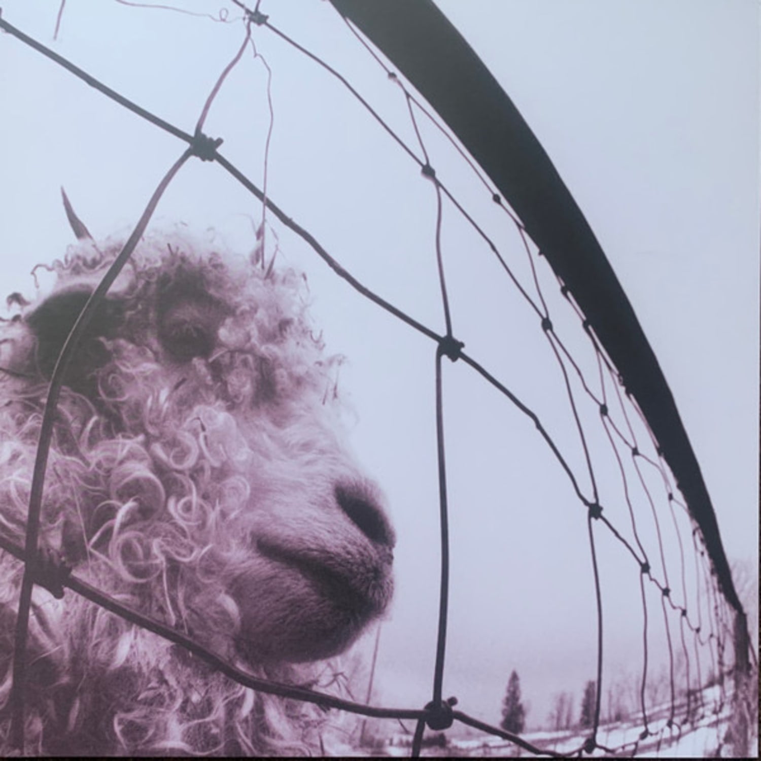 Click here for Epic / Legacy Pearl Jam - Vs. prices