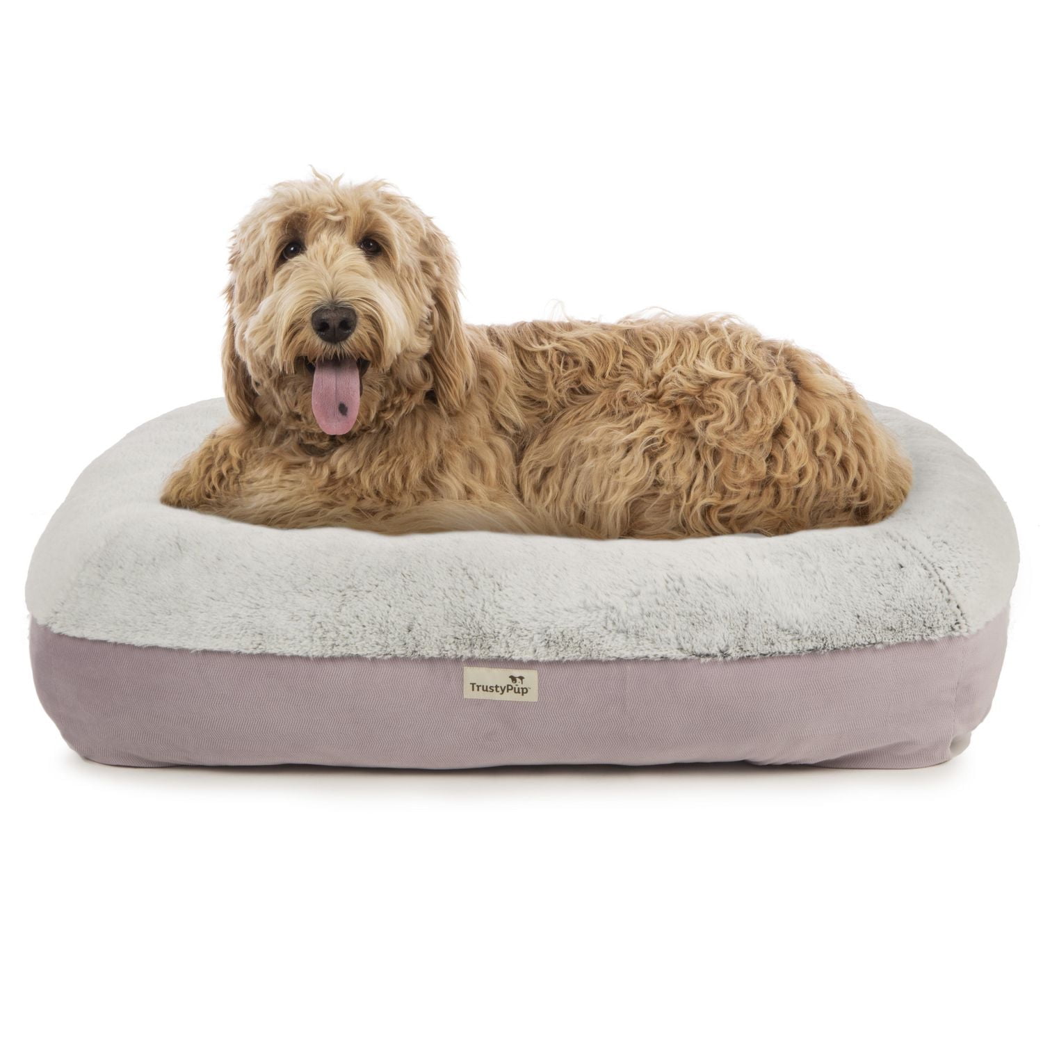 Click here for Trustypup Sensa Snoozer prices