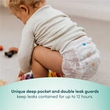 Rascal + Friends Training Pants Size 3T-4T 58 Count (Select for More ...