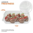 Stock Your Home 2395 Plastic Take Out Tray, Clear (25 Pack) - Walmart.com