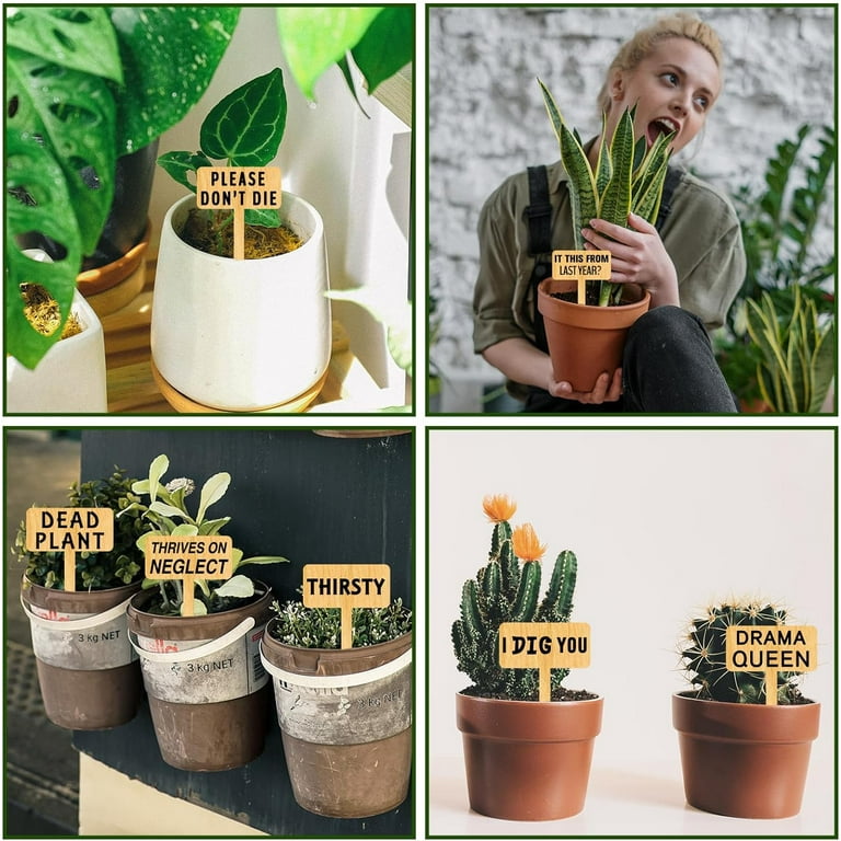 Cute Signs For The Vegetable Garden
