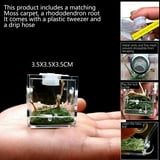 Spider Terrarium, Clear Acrylic Reptile Cage Habitat Insect Feeding Box ...
